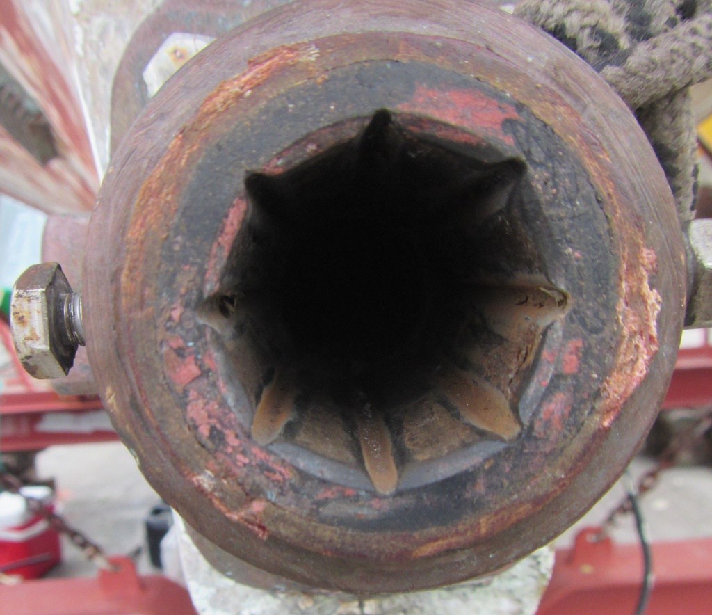 Cutlass Bearing Install - Dove Free Spirit