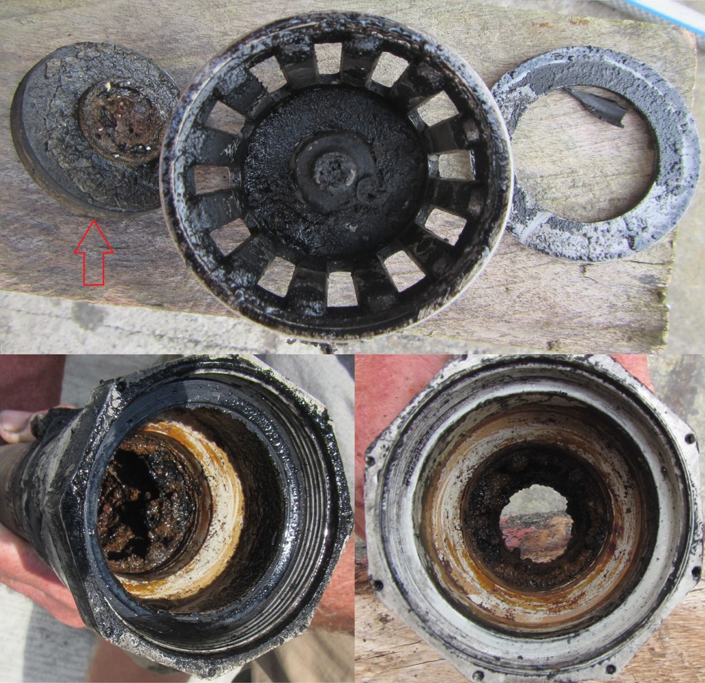 Oil In The Bilge - Dove Free Spirit
