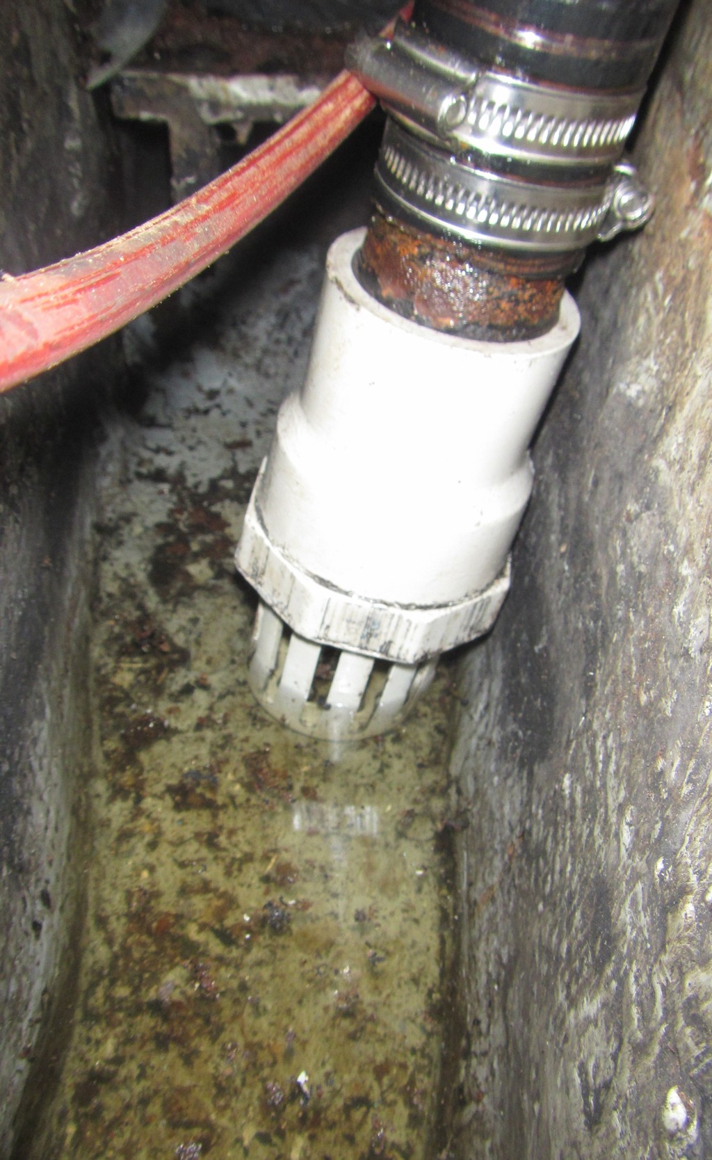 Oil In The Bilge - Dove Free Spirit