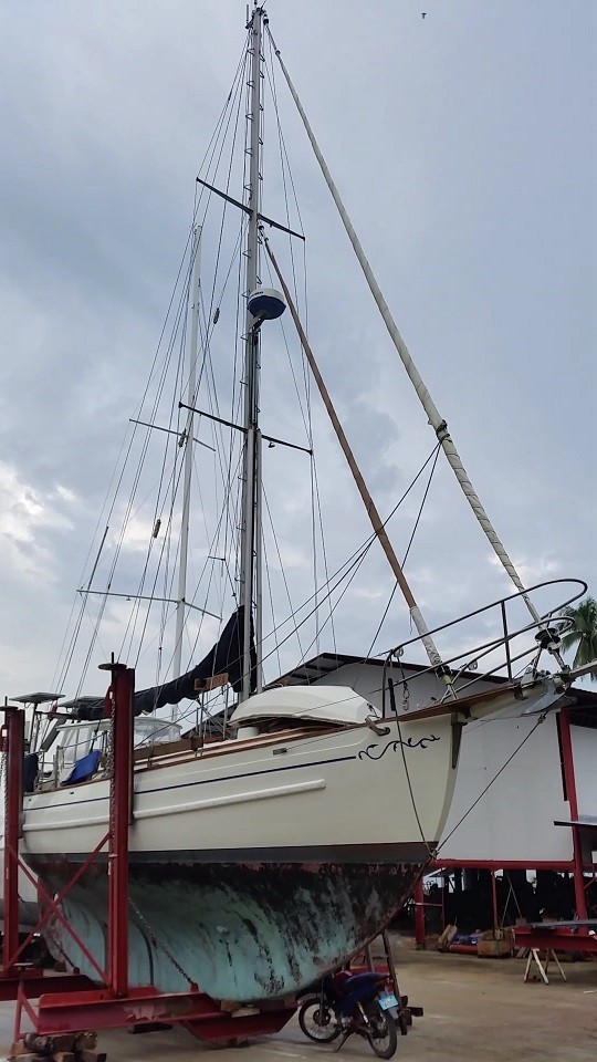 Go Small, Go Simple, Go Now! - Dove Free Spirit