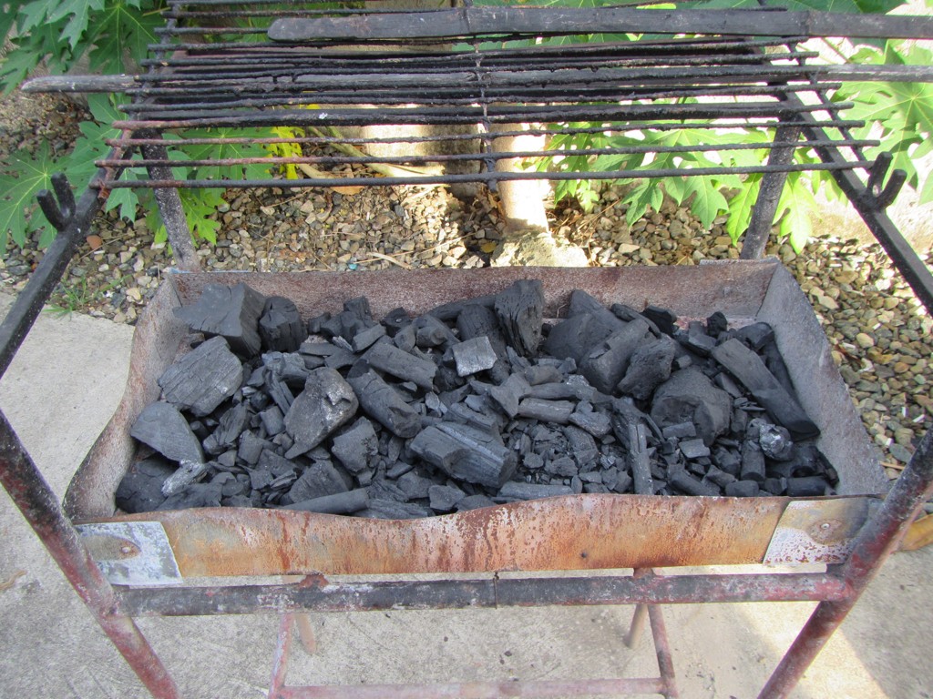 Barbecue Grill - Dove Free Spirit