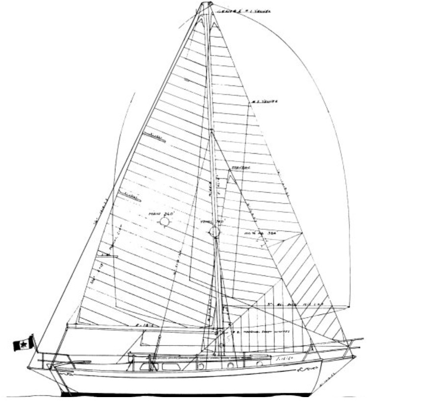 True North 34 - Dove Free Spirit