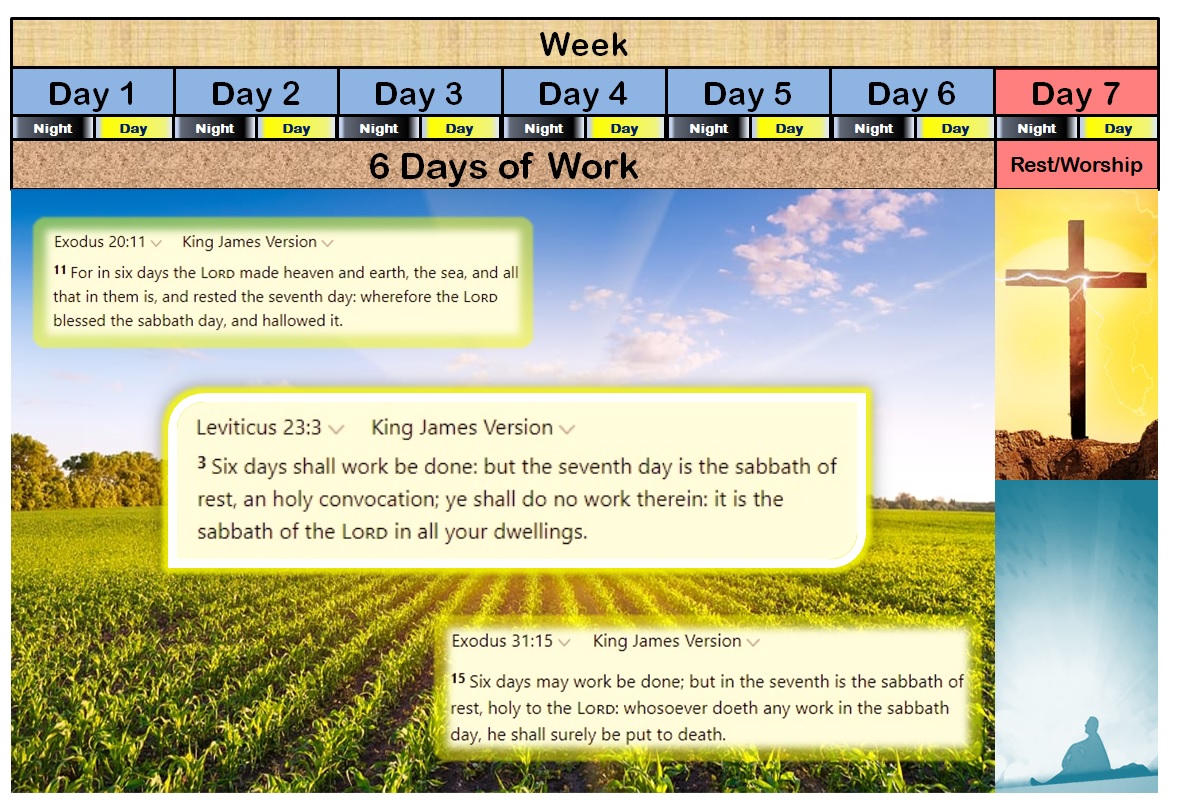 Walk with Christ – WEEK - Dove Free Spirit