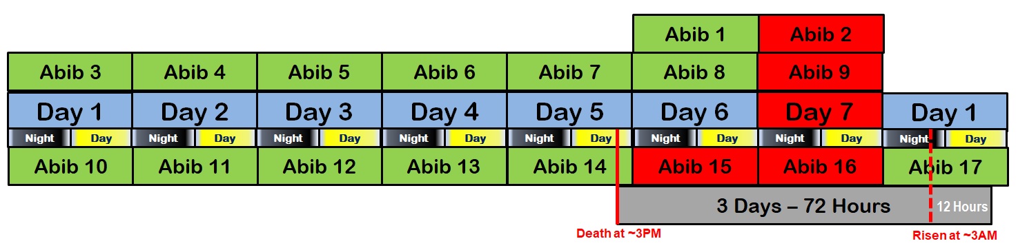 Review of The Resurrection was Not on Sunday | Dove Free Spirit