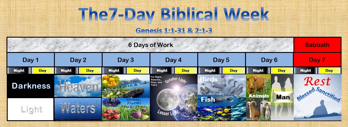 Remember the Sabbath Day - Dove Free Spirit