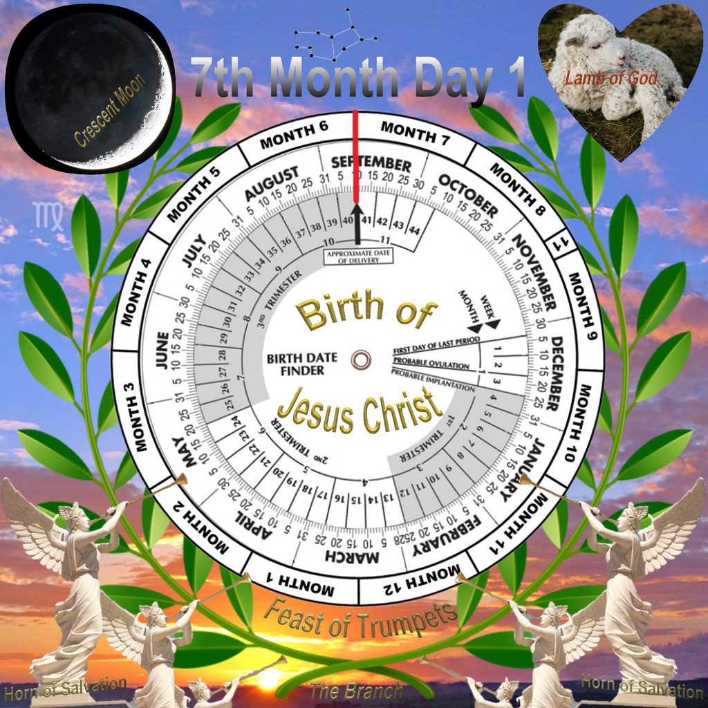 The Birth of Jesus Christ - Dove Free Spirit