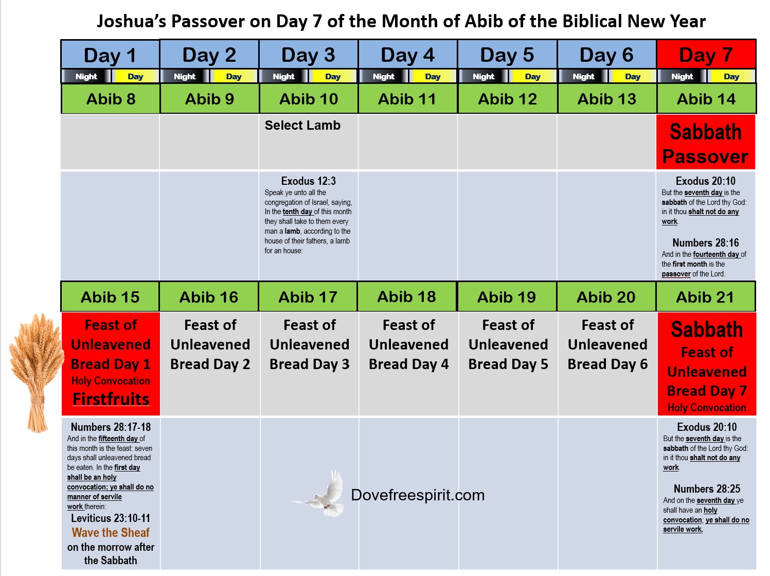 Sheaf of Firstfruits | Dove Free Spirit