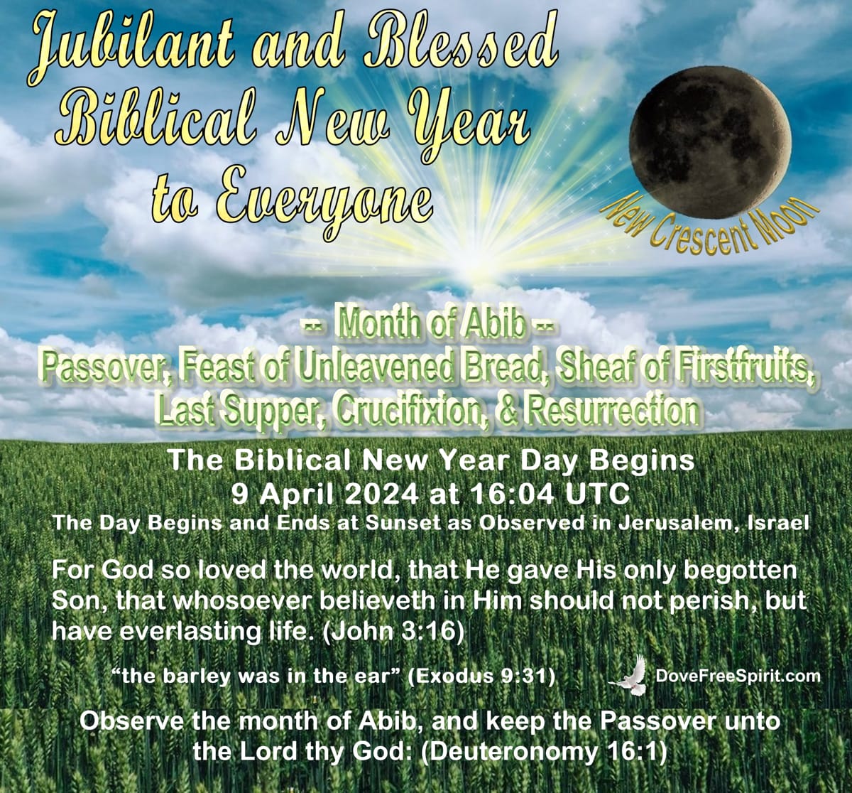 Jubilant and Blessed New Year - Dove Free Spirit